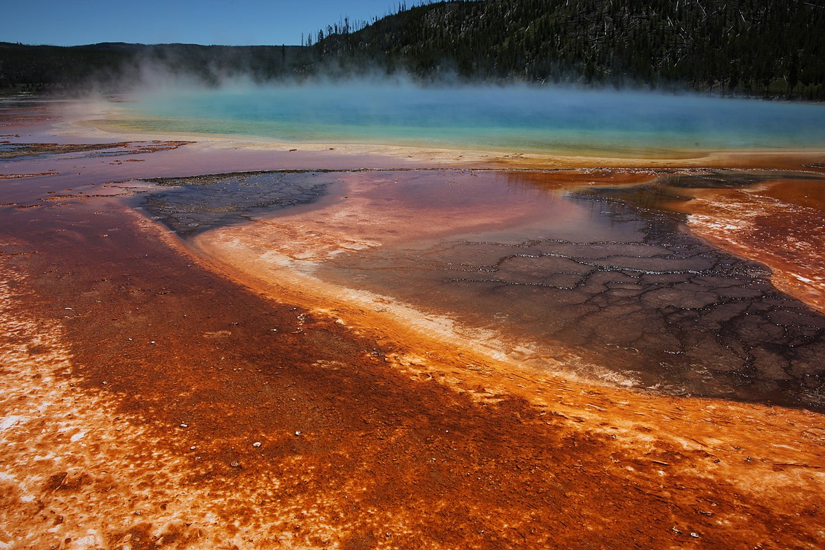 22: Extremophiles- creatures living on the edge – Notebook from the North